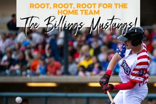 Root, Root, Root for the Home Team, The Billings Mustangs!