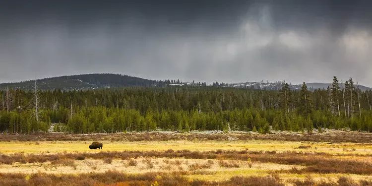 A Day in Yellowstone