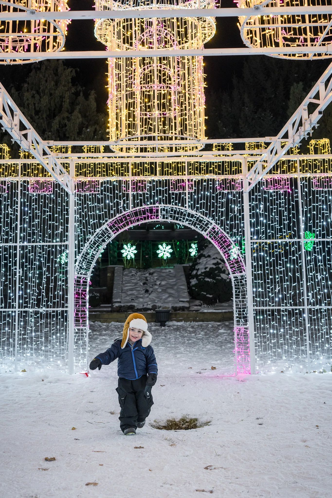 2024 Christmas Lights