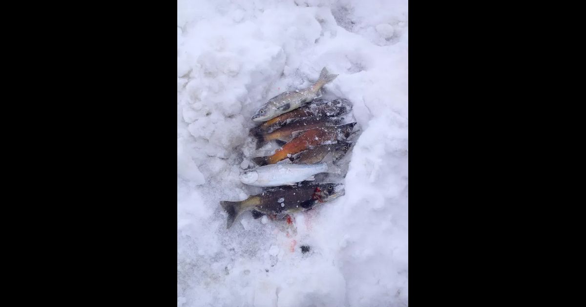 How to Fish for Salmon in Deadman’s Basin