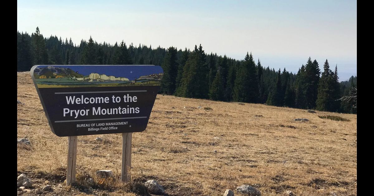 Discover the Magic of the Pryor Mountains
